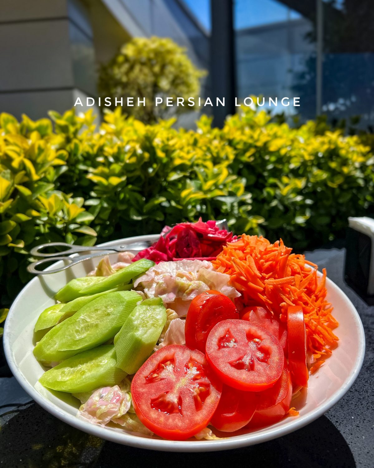 منو – آدیشه